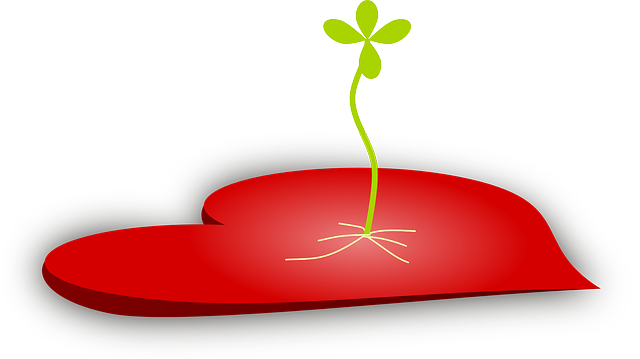 5 Ways to Avoid Becoming Hard-Hearted