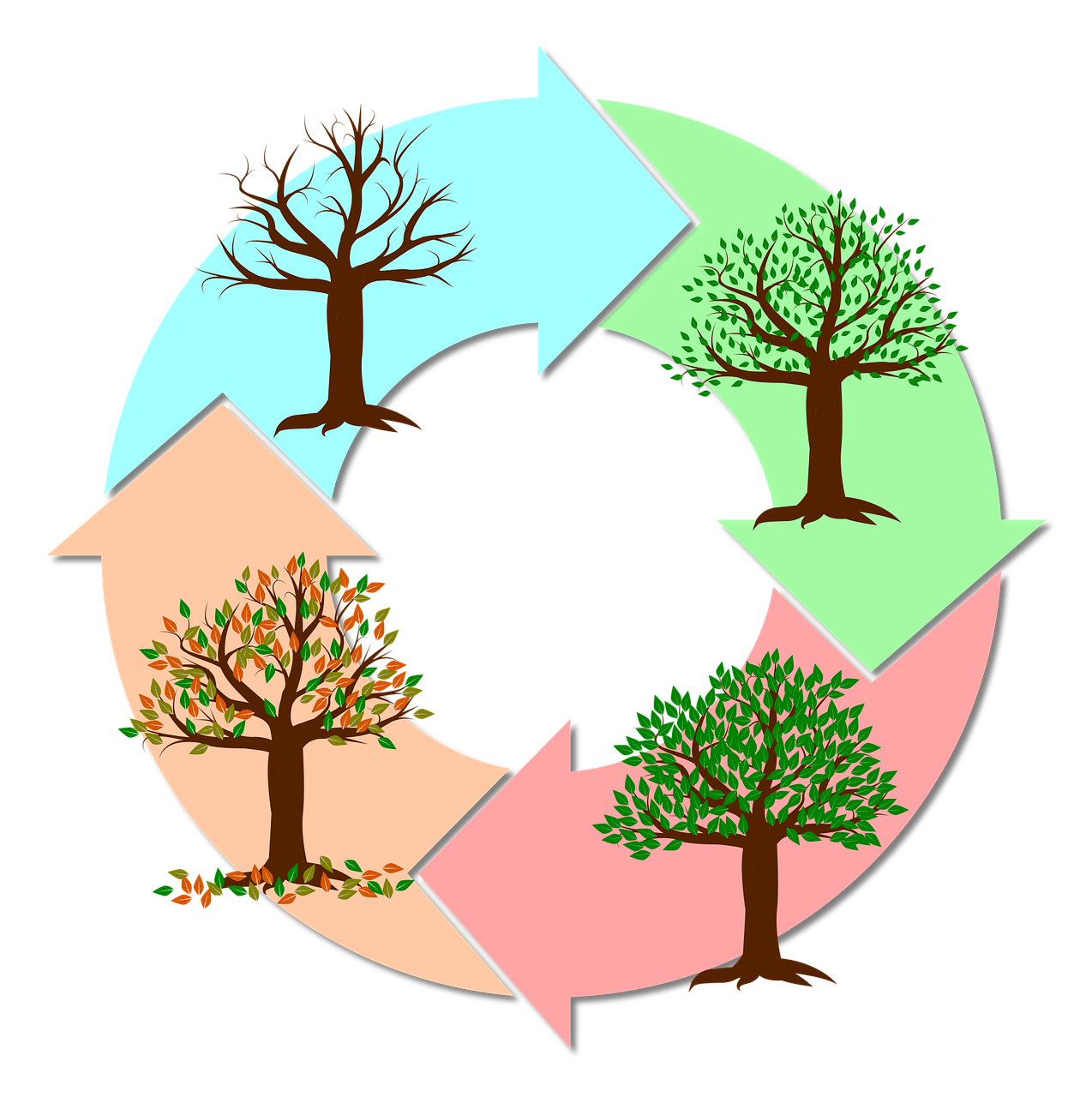 Life’s Unpredictable Seasons